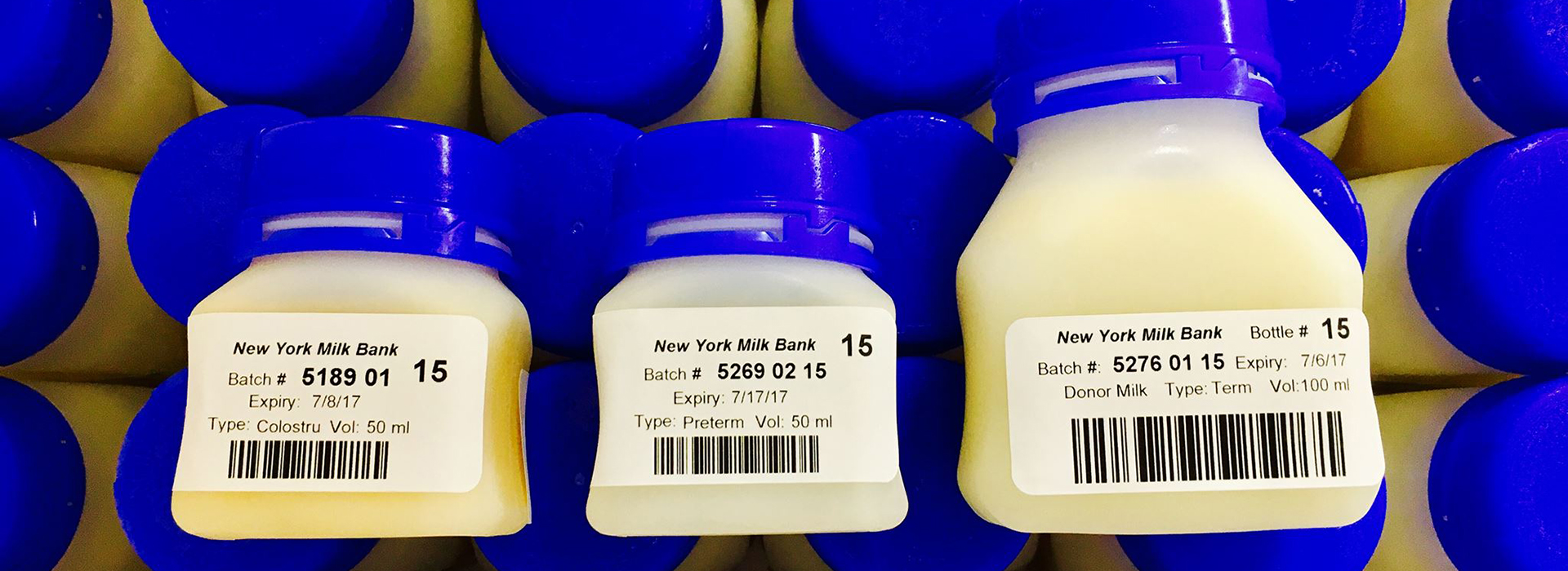 The New York Milk Bank – Hudson Valley Breastfeeding
